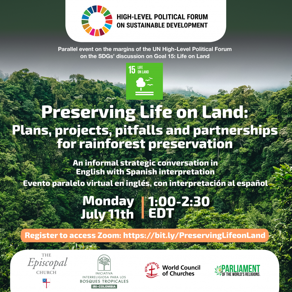 Preserving Life on Land: Plans, Projects, Pitfalls and Partnerships for ...